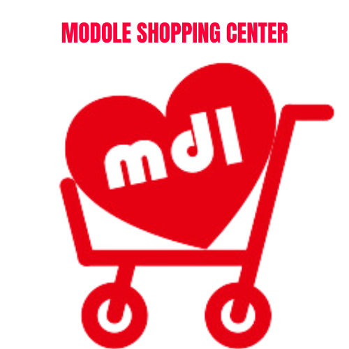 Shoes and Handbags – ModoleShop